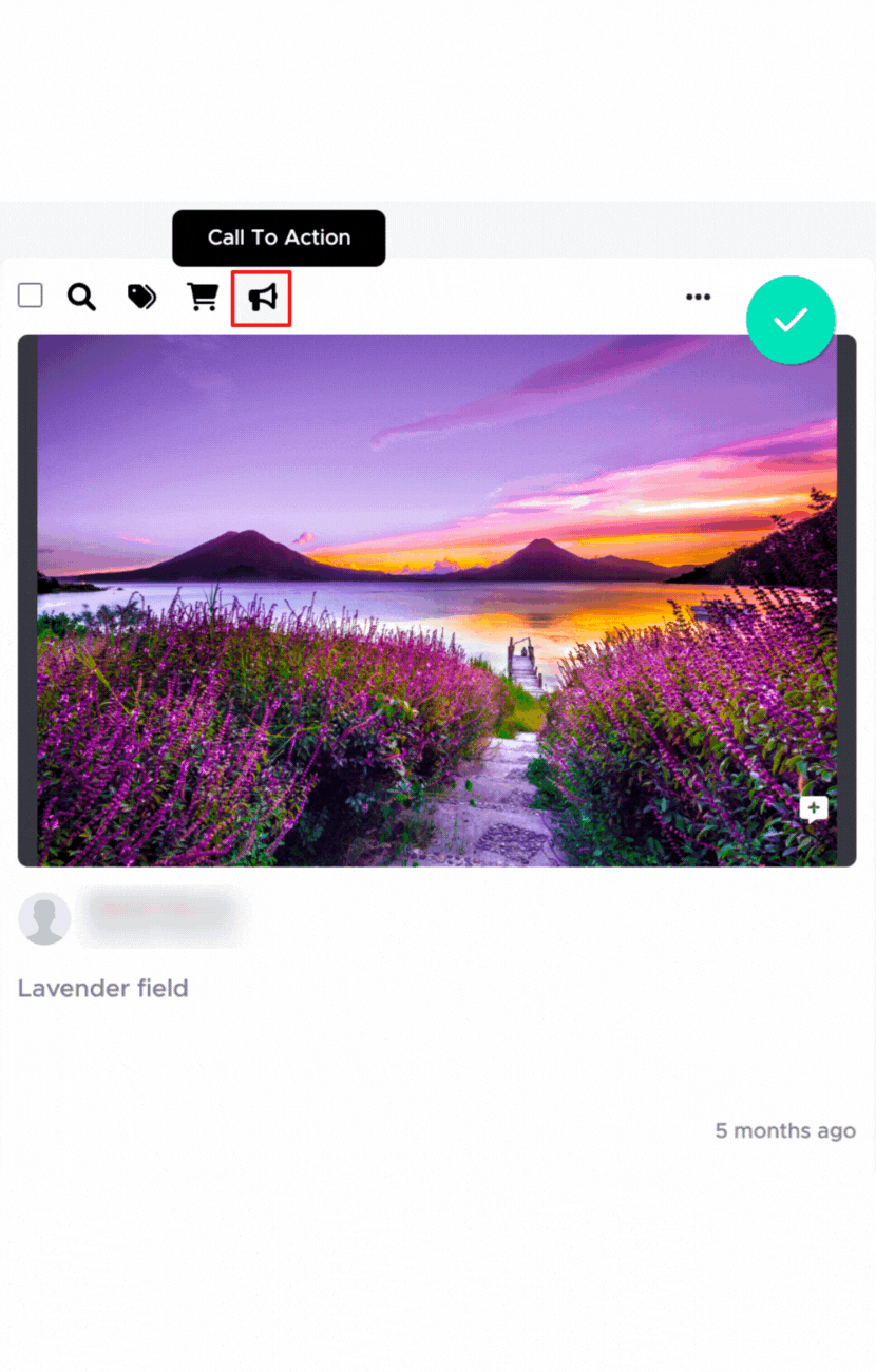 Custom Posts – TrueLoyal